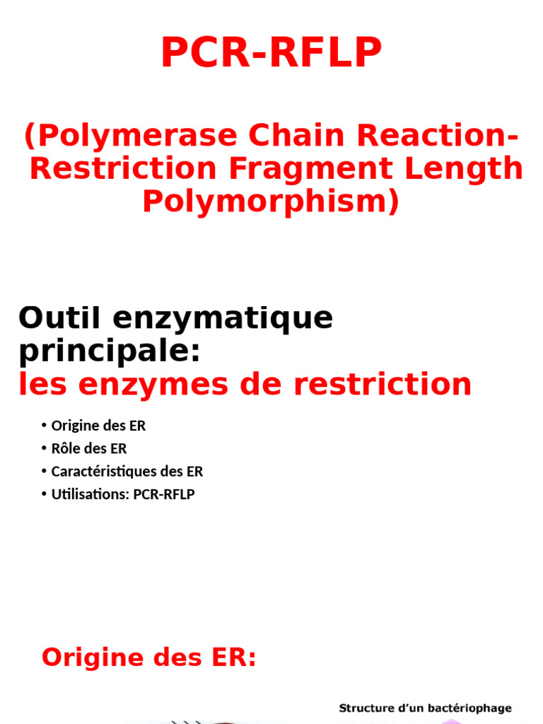PCR RFLP | PDF | Enzyme de restriction | Séquençage de l'ADN