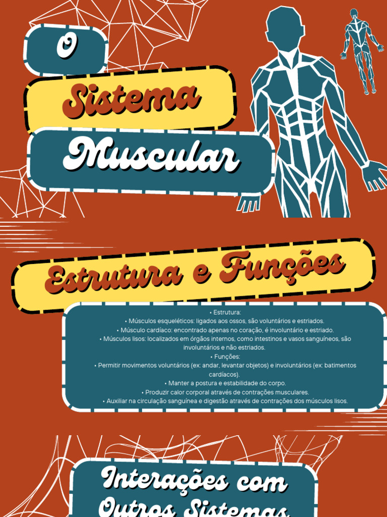Muscular System Anatomy Presentation in a Blue Yellow Red Bold Style ...