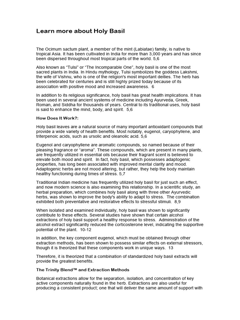 Learn More About Holy Basil | PDF | Basil | Chemistry