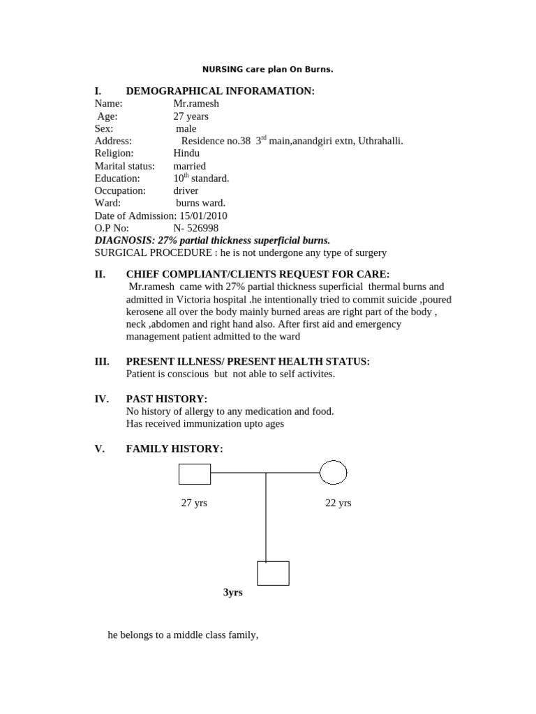 Nursing Care Plan for Burn Patient | PDF | Pain | Wound