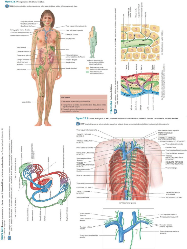 Doc-20241113-Wa0000. 20241121 112434 0000 | PDF