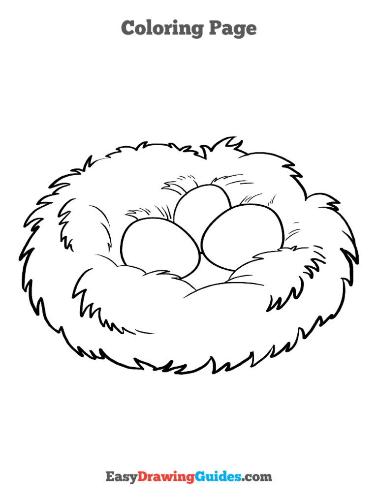 0552 Easy Bird Nest Coloring Page | PDF