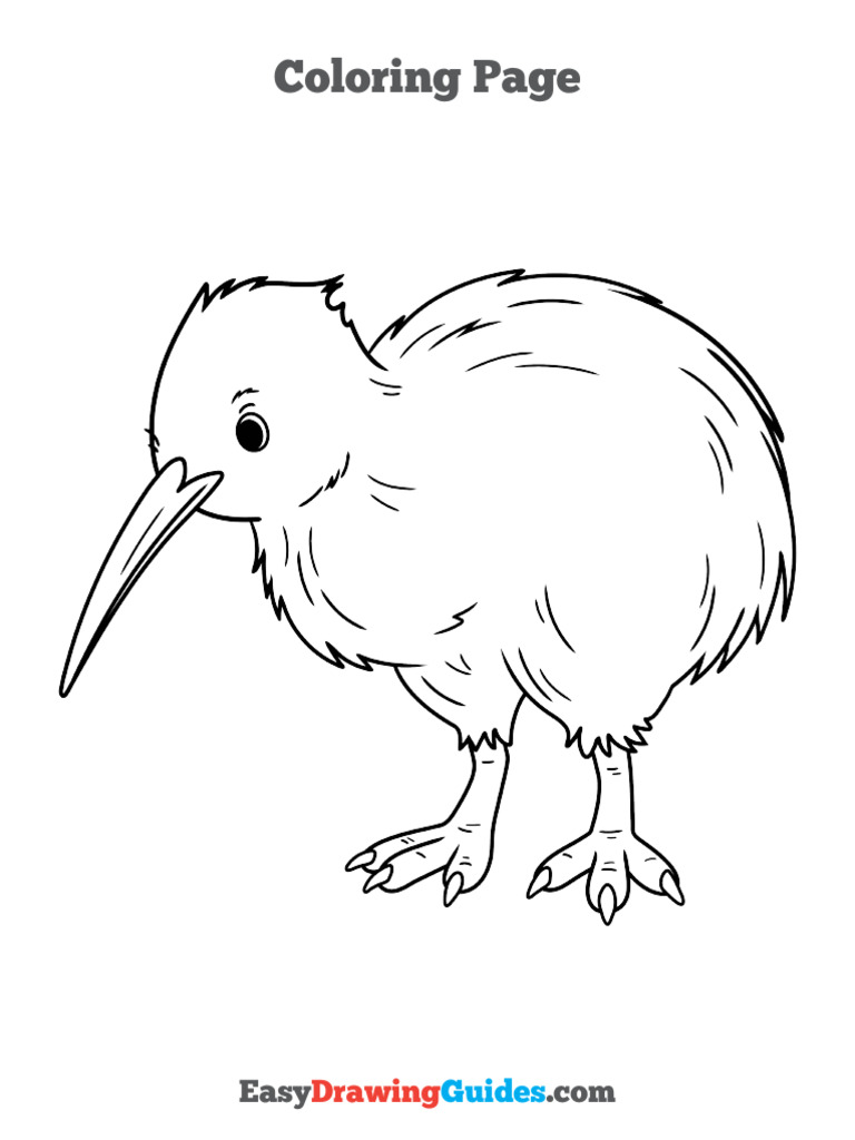 2071 Easy Kiwi Bird Coloring Page | PDF