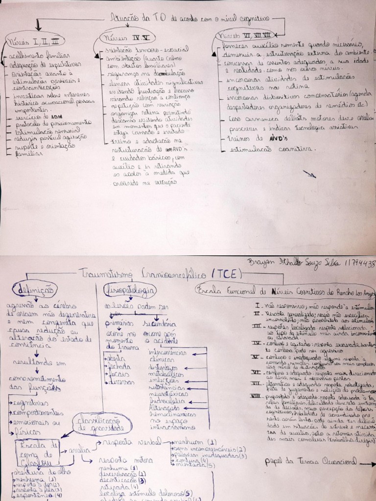 Merged Mapa Mental TCE Part 2 | PDF