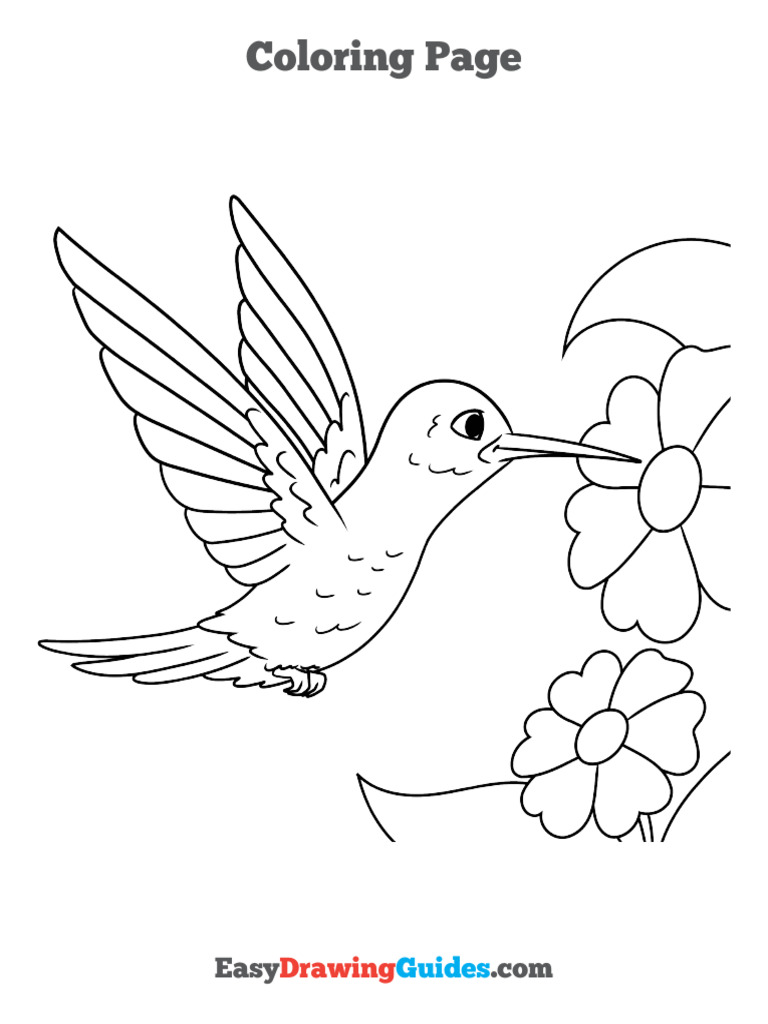 0038 Easy Hummingbird Coloring Page | PDF