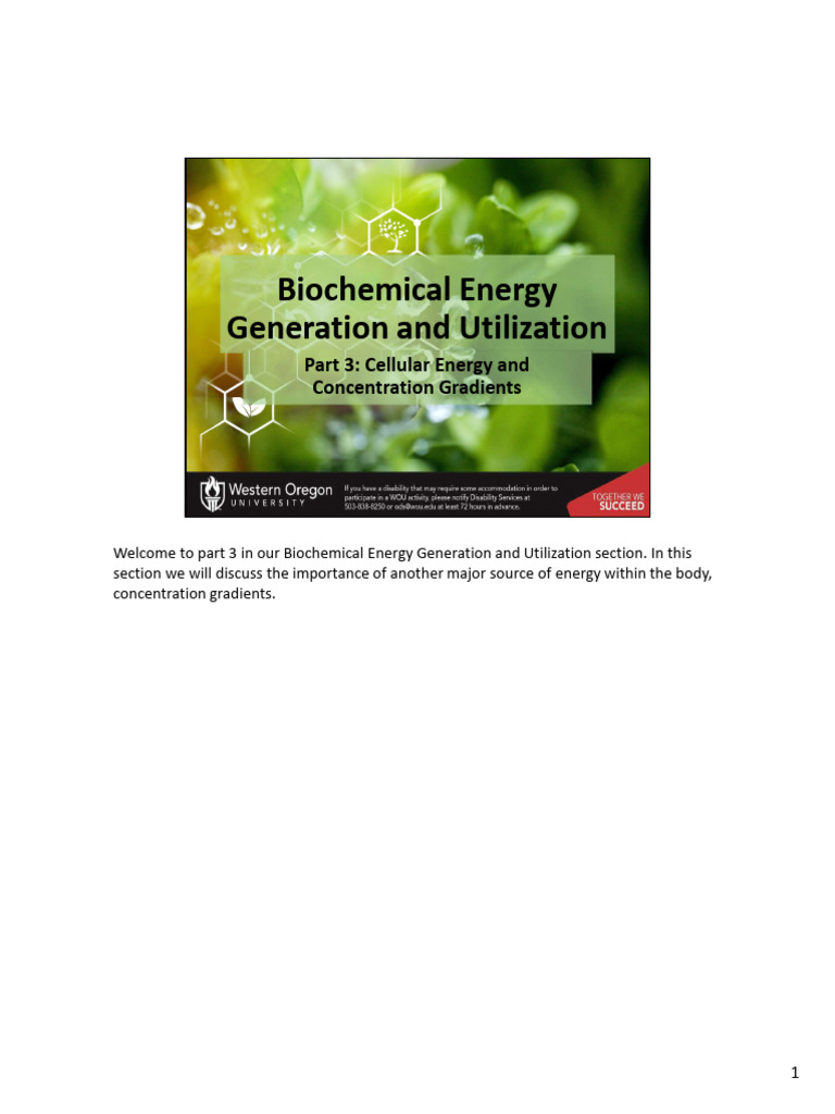 Biochemical Energy Generation and Utilization Part 3 | PDF ...