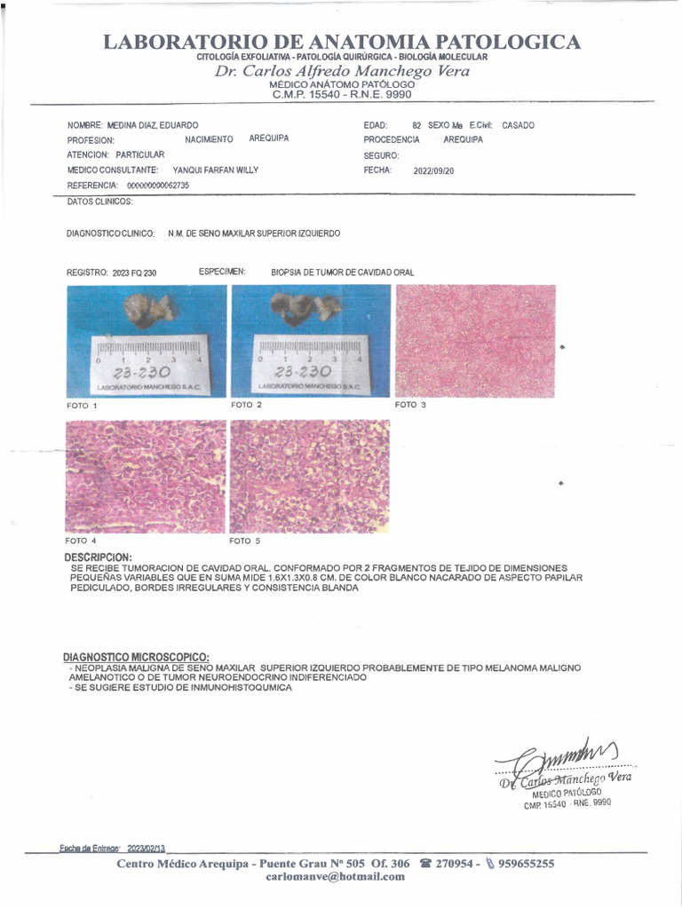 Laboratorio de Anatomia Patologica | PDF