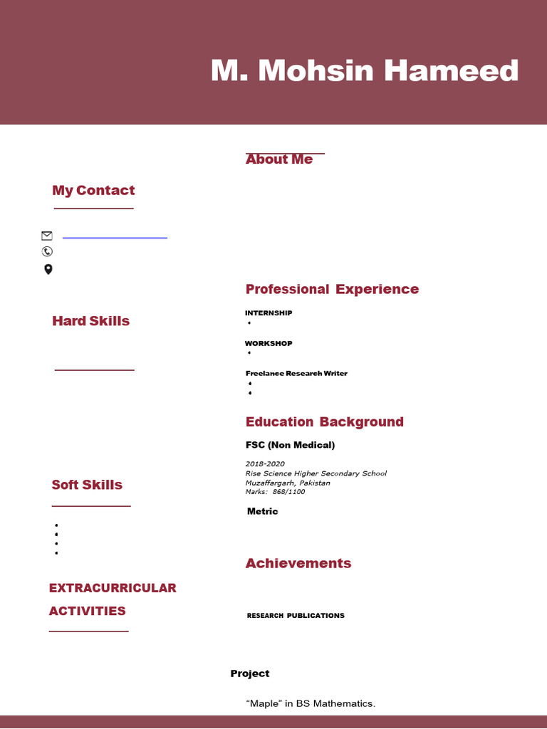 Mohsin Hameed CV PDF-3 | PDF | Mathematics | Applied Mathematics