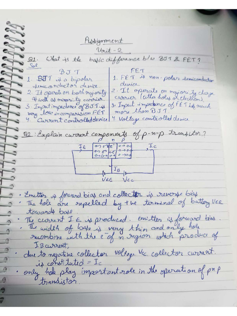 Unit 2 Assignment | PDF