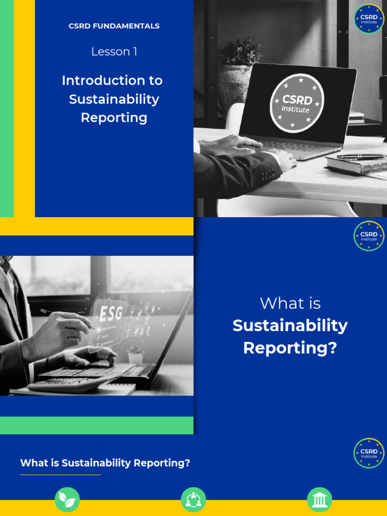 CSRD Fundamentals Lesson 1 | PDF