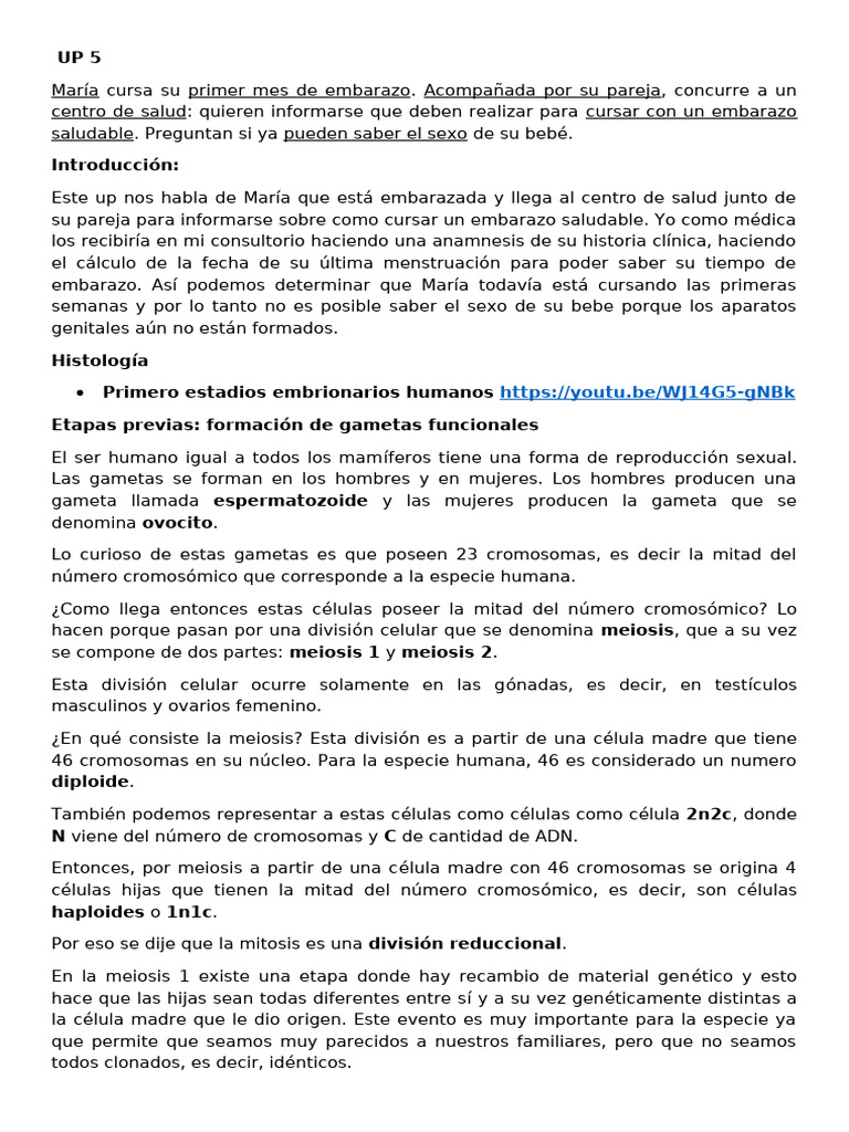 UP 5 - CyD | PDF | Ovario | Mitosis