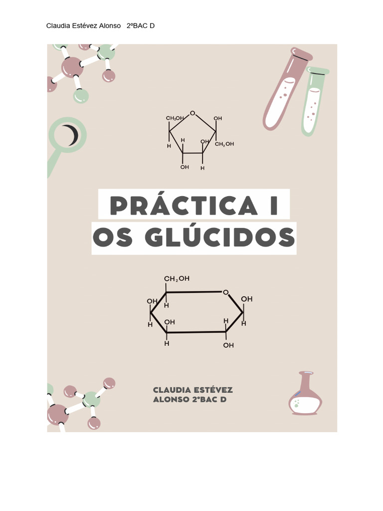 Practica I | PDF