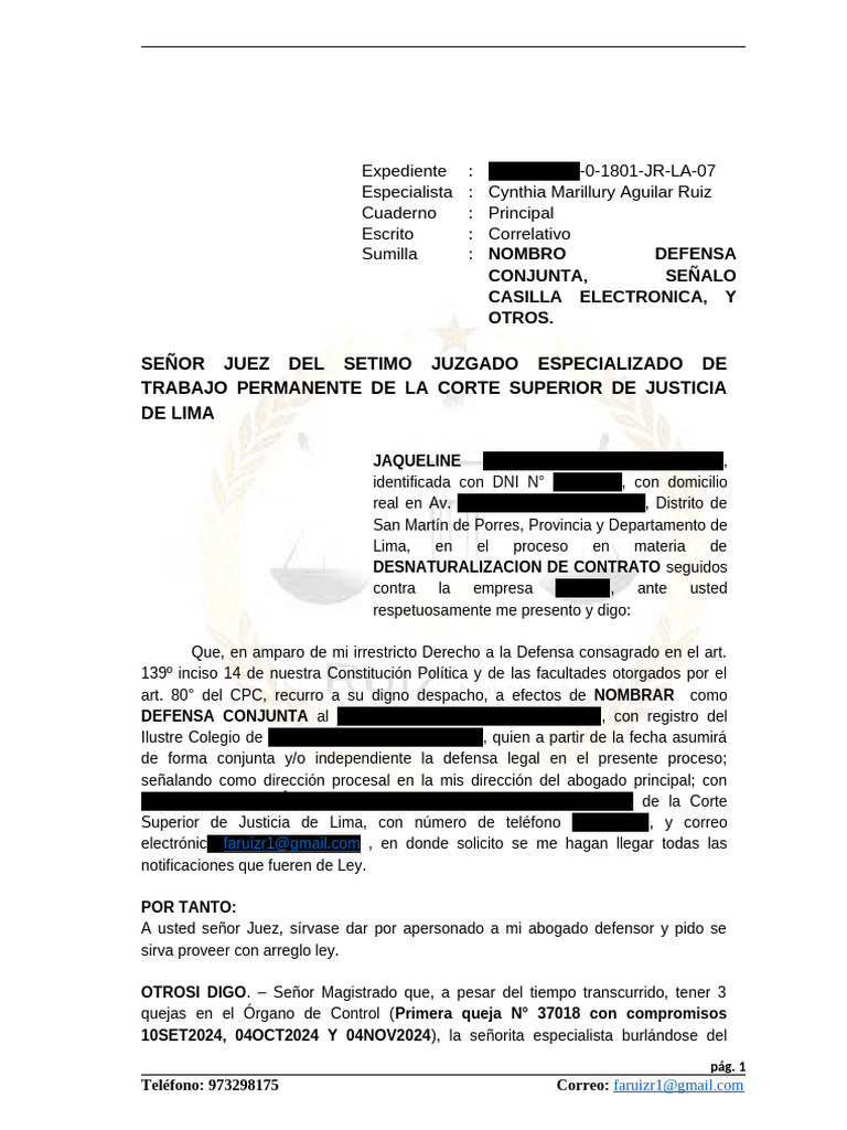 Defensa Conjunta Apersonamiento - Jaqueline Ruiz | PDF | Justicia ...