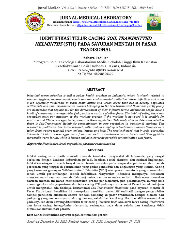 Kontaminasi Telur Cacing STH Sayuran Mentah | PDF