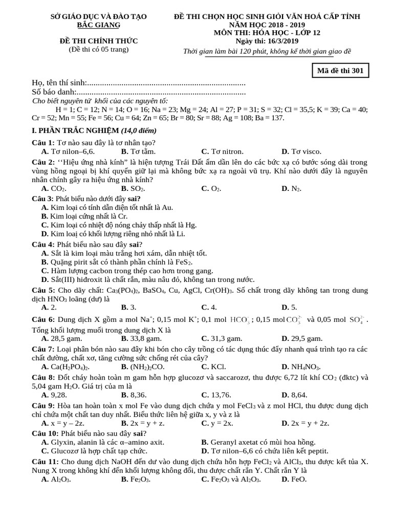 HSG 12 BẮC GIANG 2018-2019 | PDF