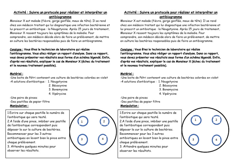 Interprétation d'un antibiogramme clinique | PDF | Bactérie | Immunologie