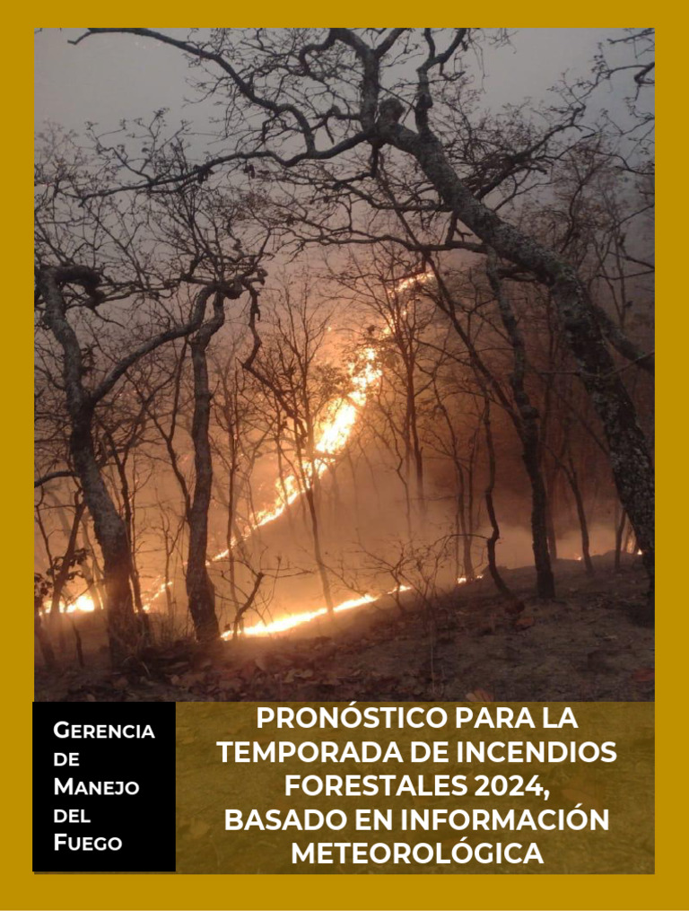 Pronóstico 2024 Noviembre-Enero 2025 | PDF | Incendios | Fuego fatuo