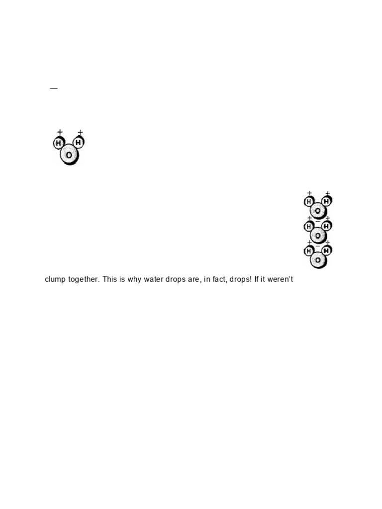 Properties of Water Reading and Ques | PDF | Water | Properties Of Water