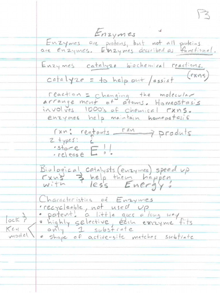 Enzymes Lecture Notes | PDF