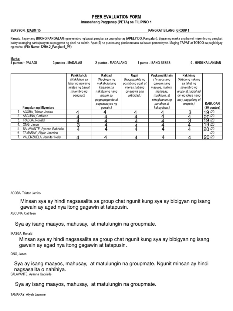 Peer Evaluation FORMAT 2 | PDF