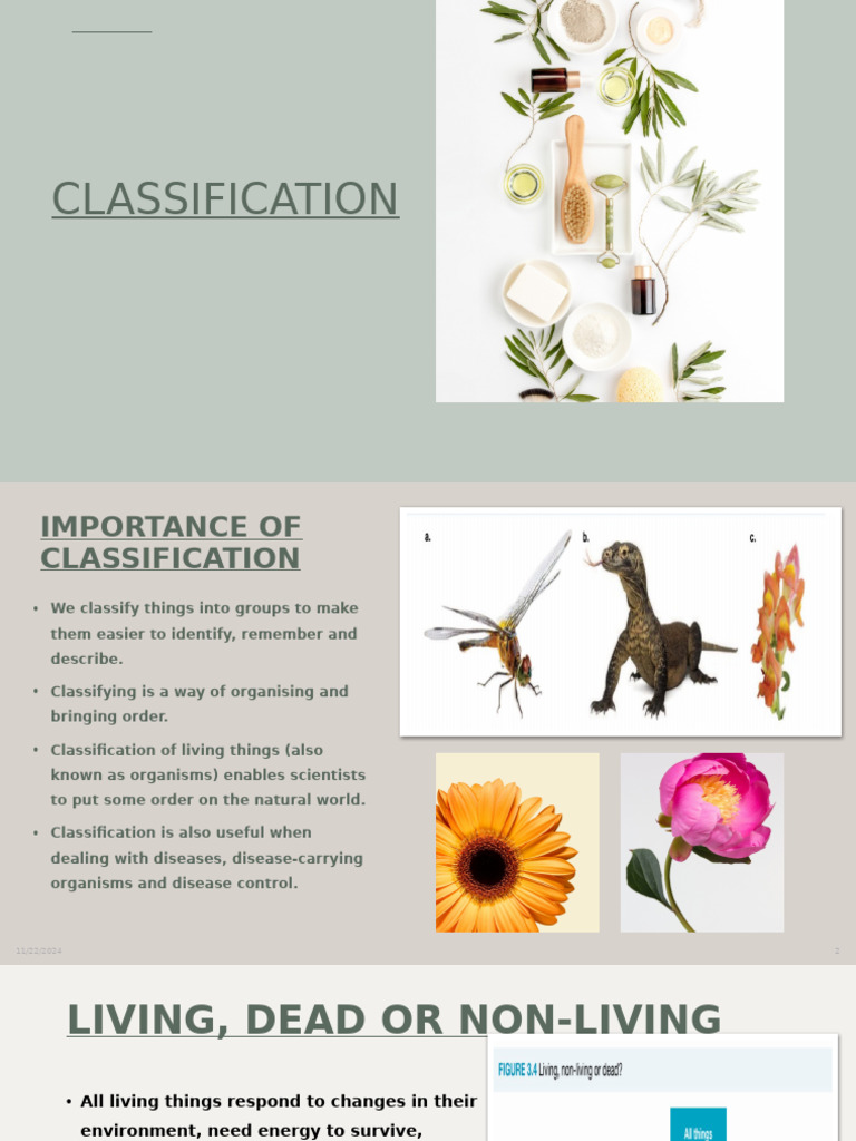 CLASSIFICATION | PDF | Biological Classification | Biology