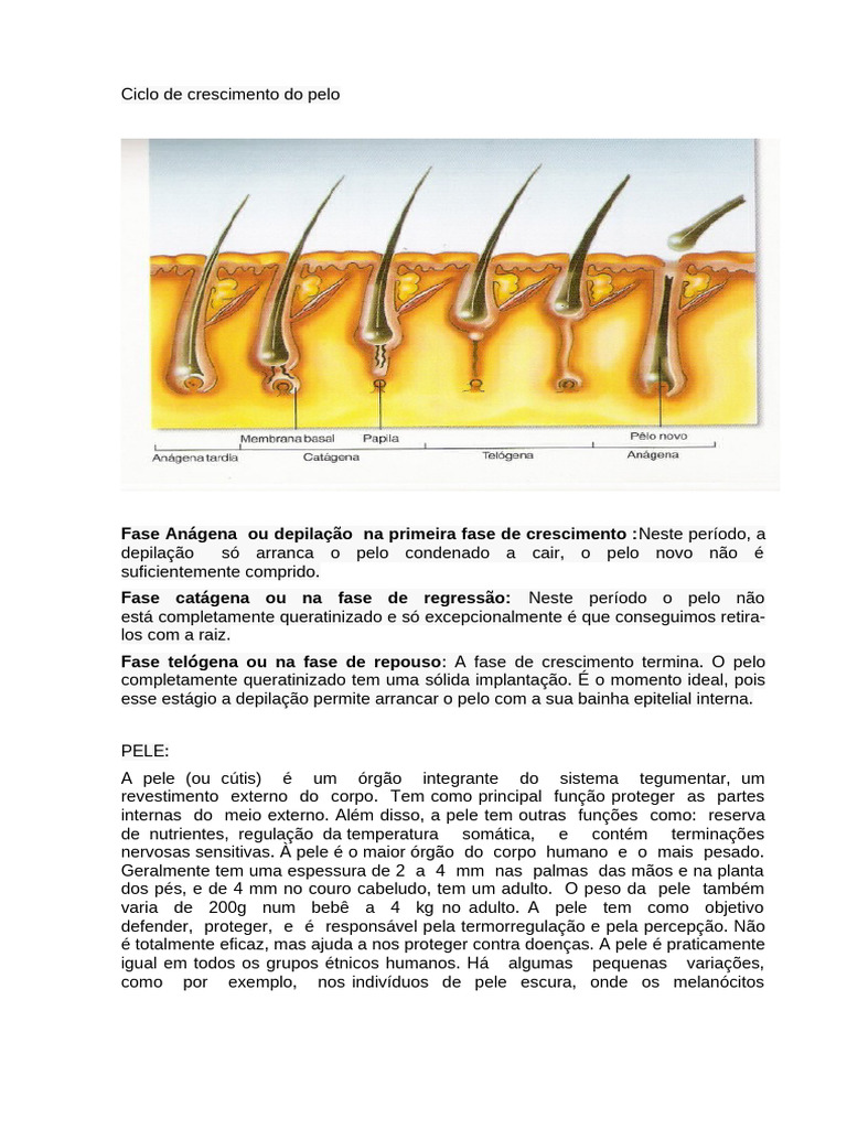 Ciclo de Crescimento do Pelo e Pele | PDF | Epiderme | Morfologia ...