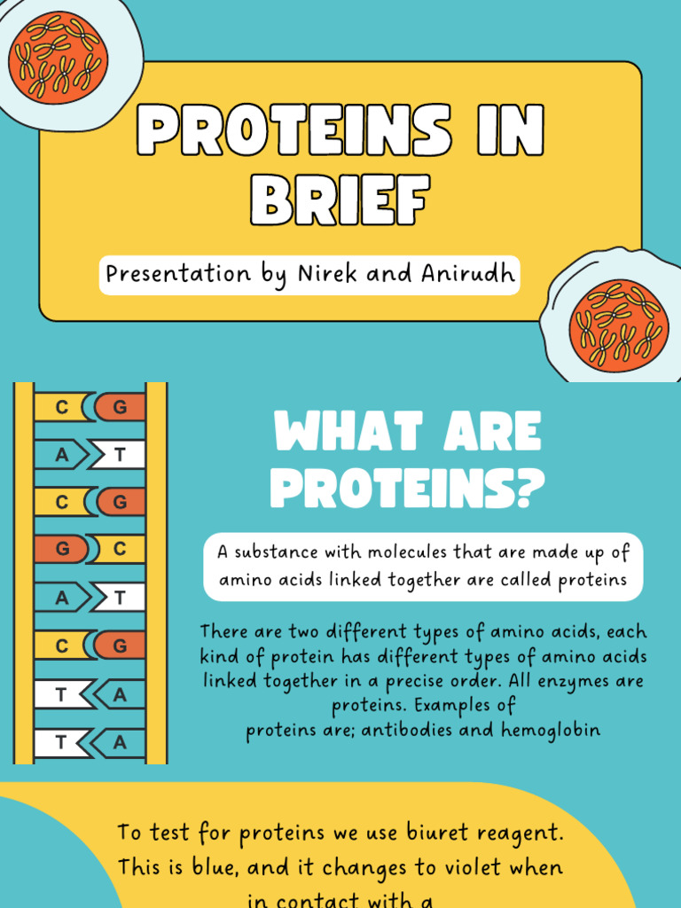 Proteins in Brief | PDF | Wellness | Science & Mathematics