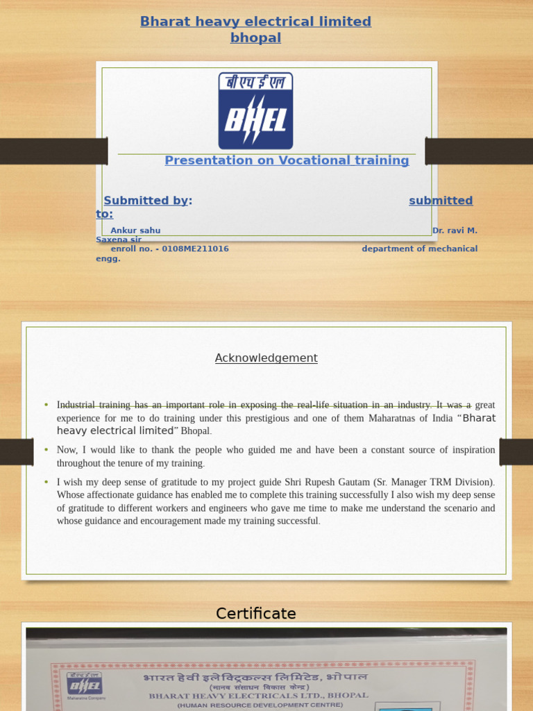 Bhel PPT | PDF | Nature | Energy Technology