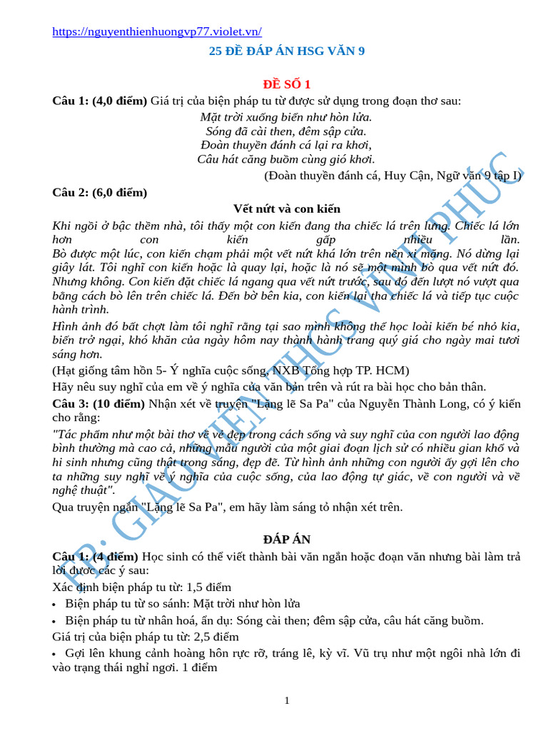 25 de Dap An HSG Van 9 | PDF