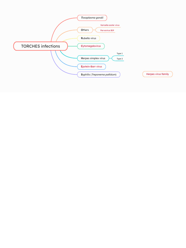 TORCHES Infections | PDF