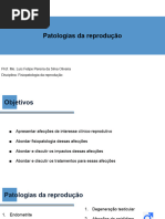 Metrite e Endometrite em Bovinos: Guia Completo | PDF | Bactérias ...