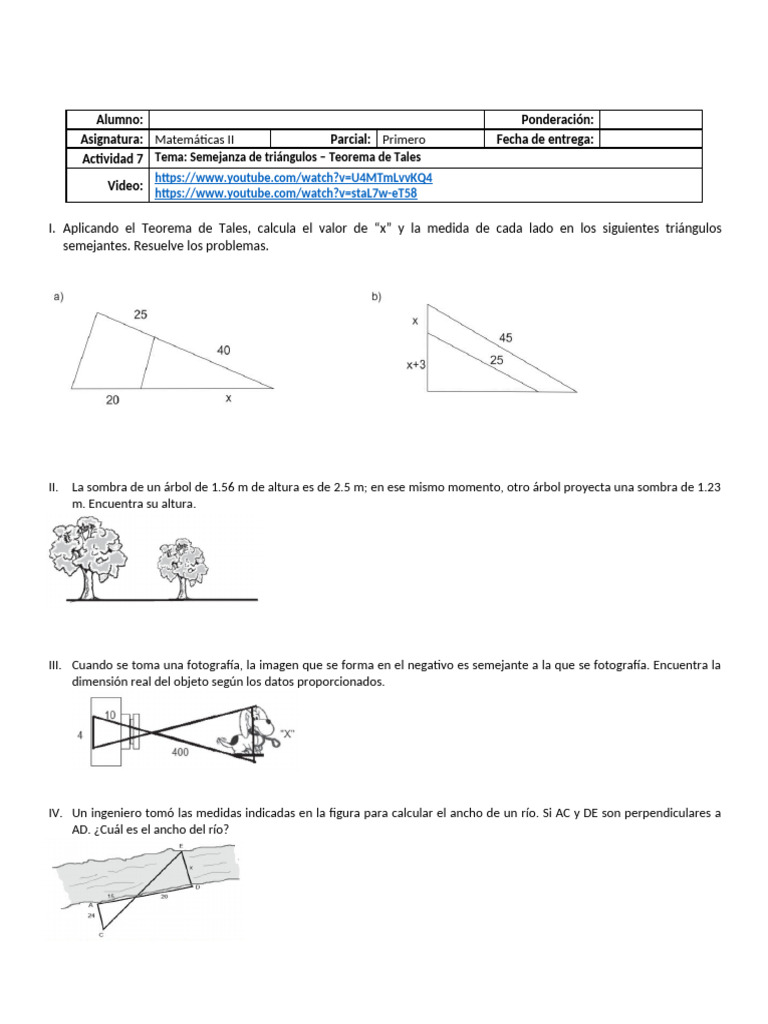 ACTV 7 Semejanza de Triángulos - Teorema de Tales | PDF
