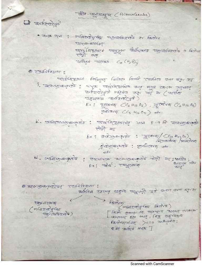 Class 12 Biomolecules Beng | PDF