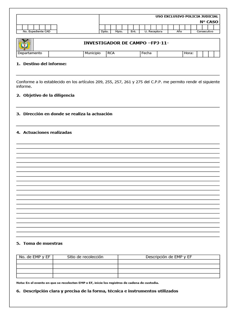 Fpj-11 Infor Investigador Campo | PDF