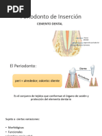 Tipos de Cemento Radicular: Acelular y Celular | PDF | Ramas de ...