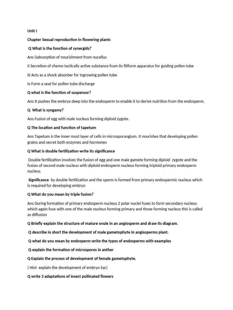 Functions of Synergids and Double Fertilization | PDF | Wellness