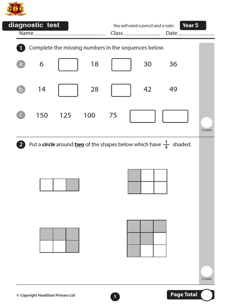 Year 5 Dignostic Test | PDF | Litre | Shape