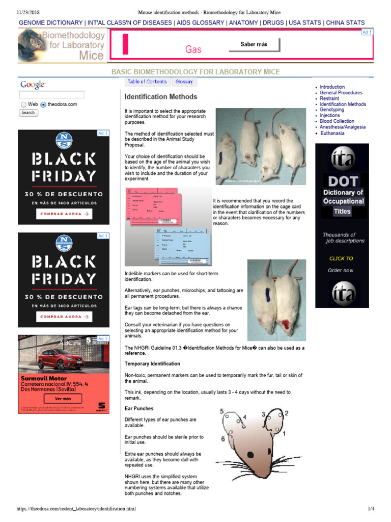 Mouse Identification Techniques | PDF | Sterilization (Microbiology ...