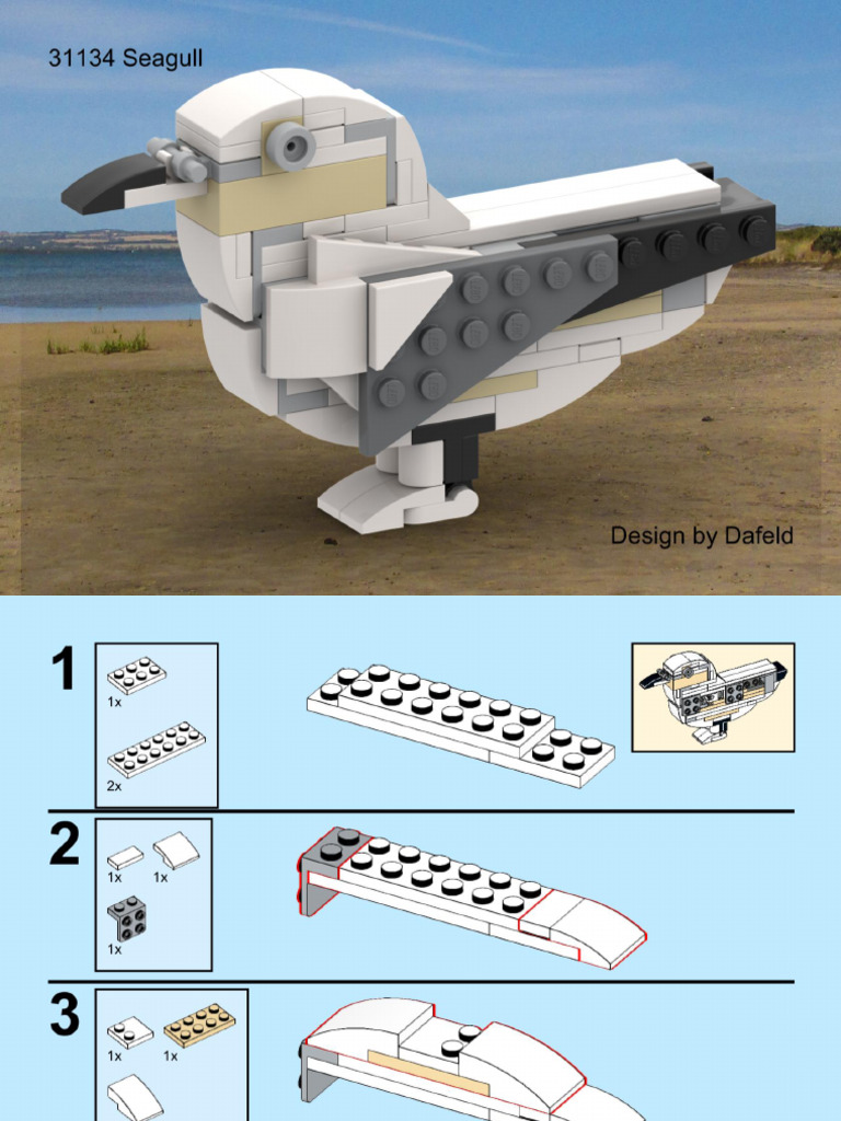 Seagull | PDF