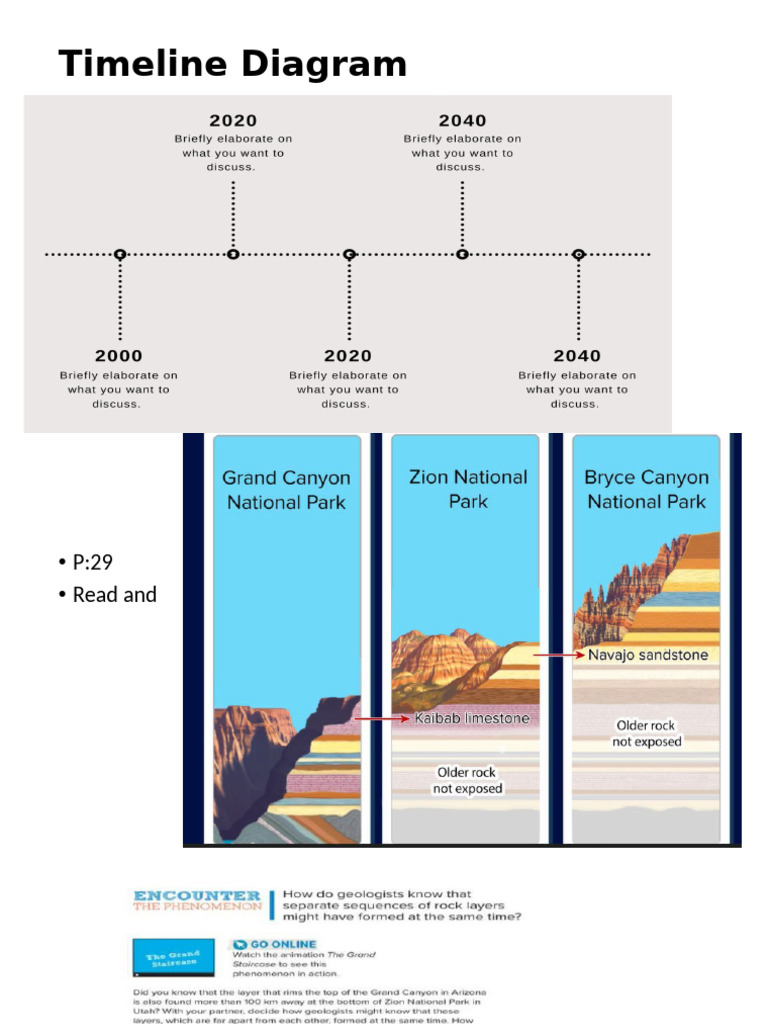 Building A Time Line | PDF | Rock (Geology) | Sedimentary Rock