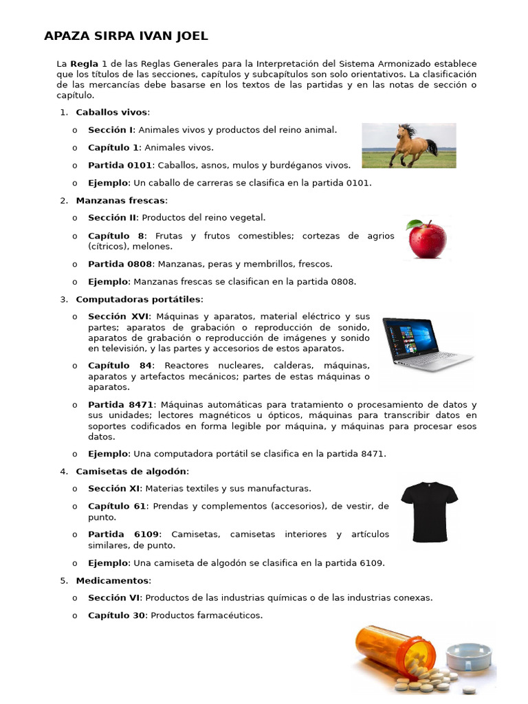 Regla1 Nomenclatura | PDF