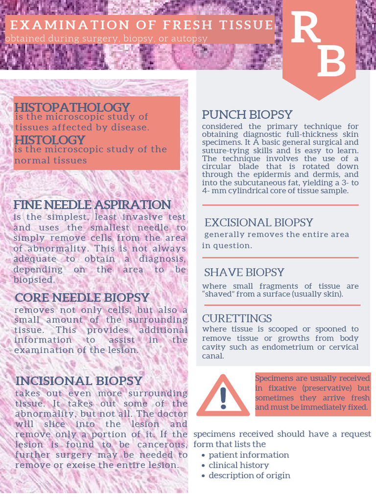 GROSS EXAMINATION | PDF | Biopsy | Clinical Medicine