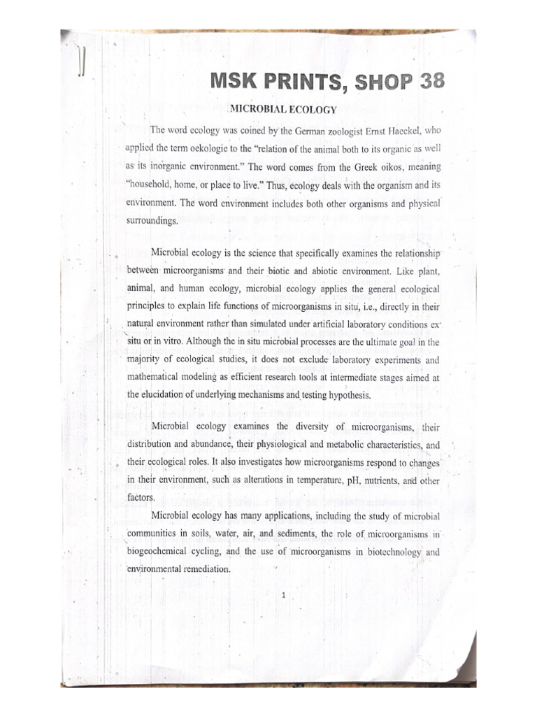 MSK Prints, Shop 38 | PDF