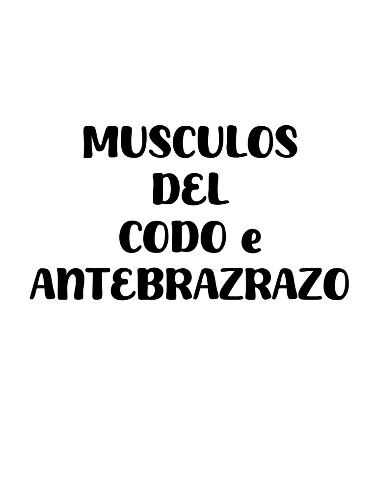 Músculos del Codo y Antebrazo: Funciones y Orígenes | PDF