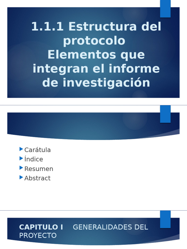 1.1.1 Estructura Del Protocolo | PDF