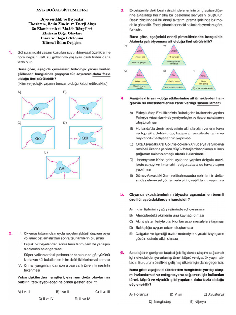 12 TEKRAR Soru | PDF