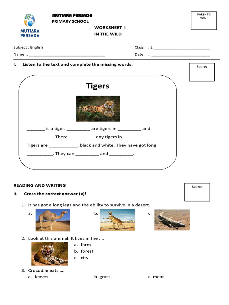 in The Wild Worksheet | PDF | Elephant | Tiger