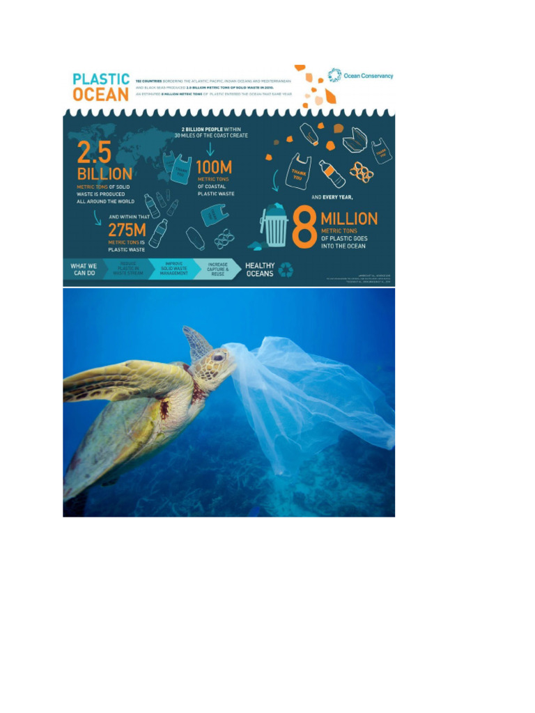 Ocean Plastic | PDF