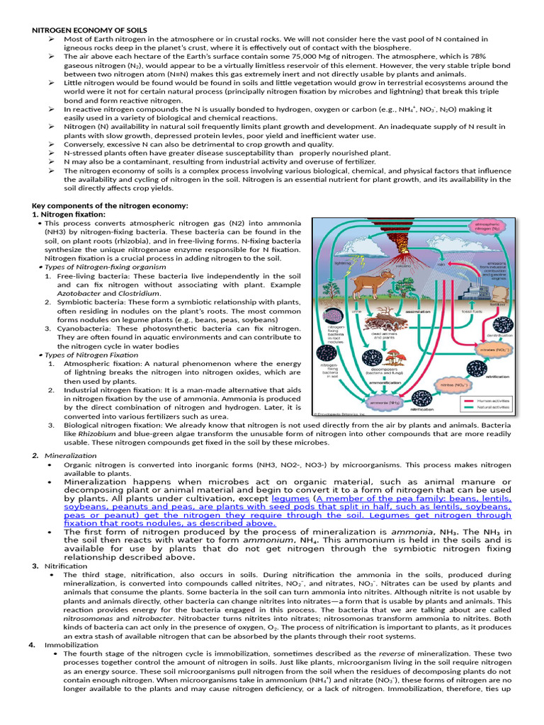 Nitrogen Economy of Soils | PDF | Soil | Fertilizer