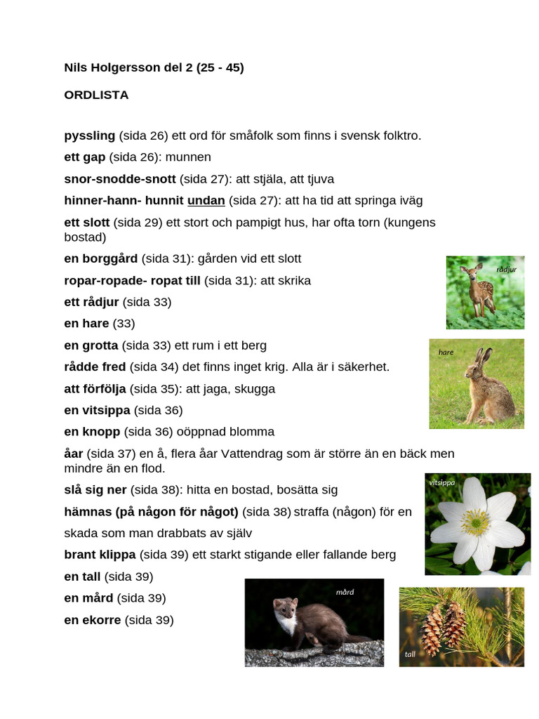 Nils Holgersson Del 2 | PDF